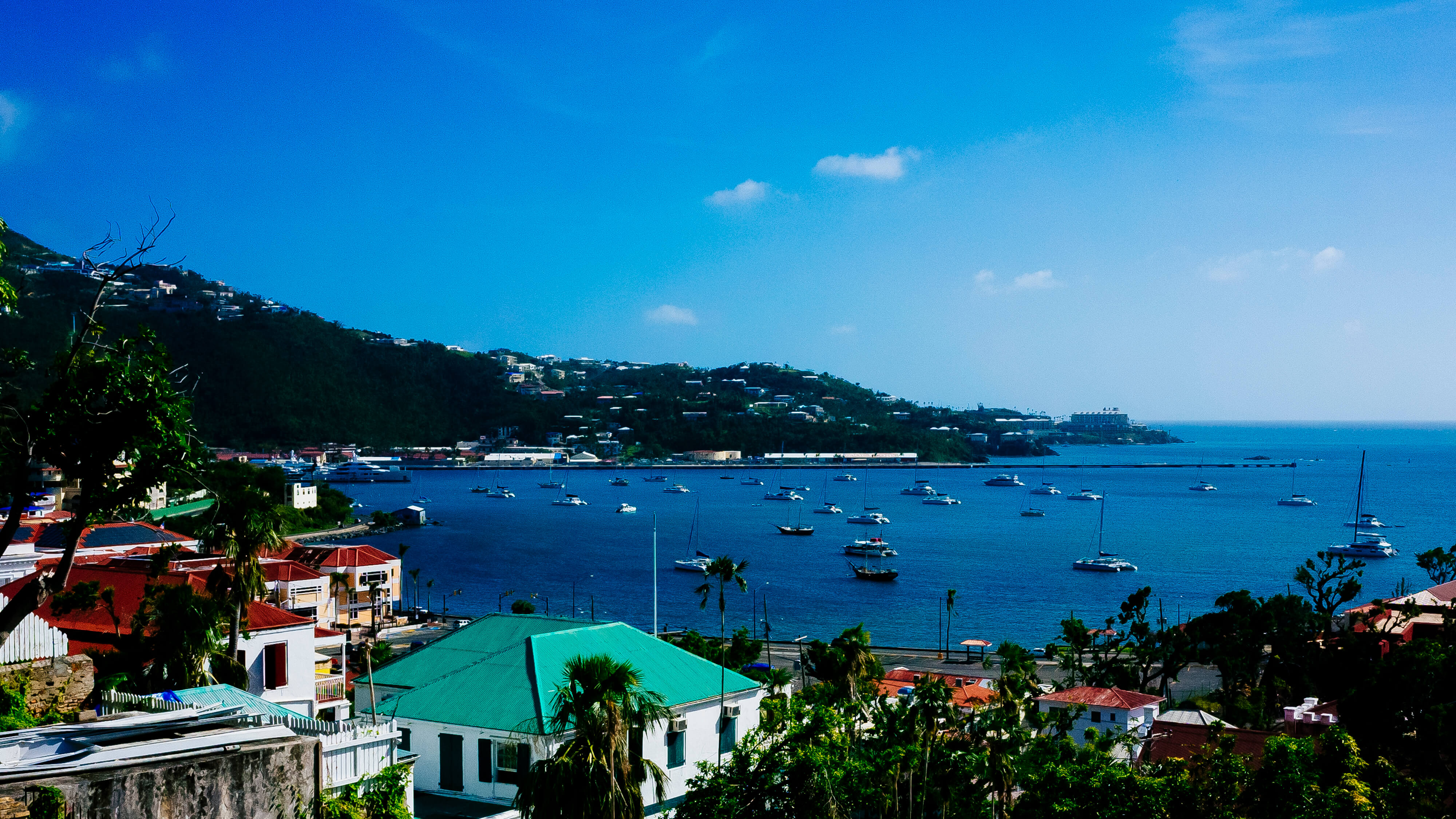 St. Thomas - Ogletree Deakins