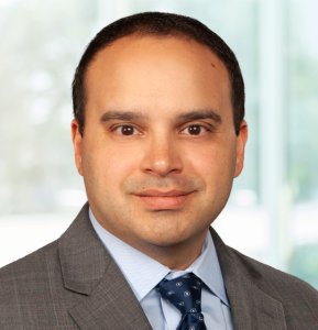 Michael C. Guarino - Ogletree